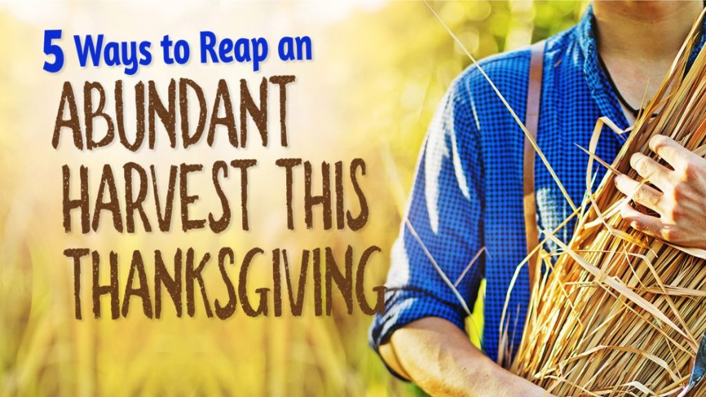 5 Ways To Reap an Abundant Harvest This Thanksgiving - KCM Europe