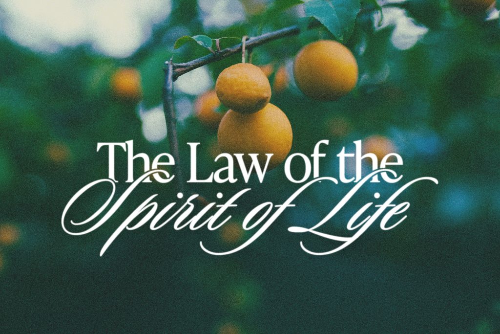 I Will Not Fear: The Law of the Spirit of Life - KCM Europe